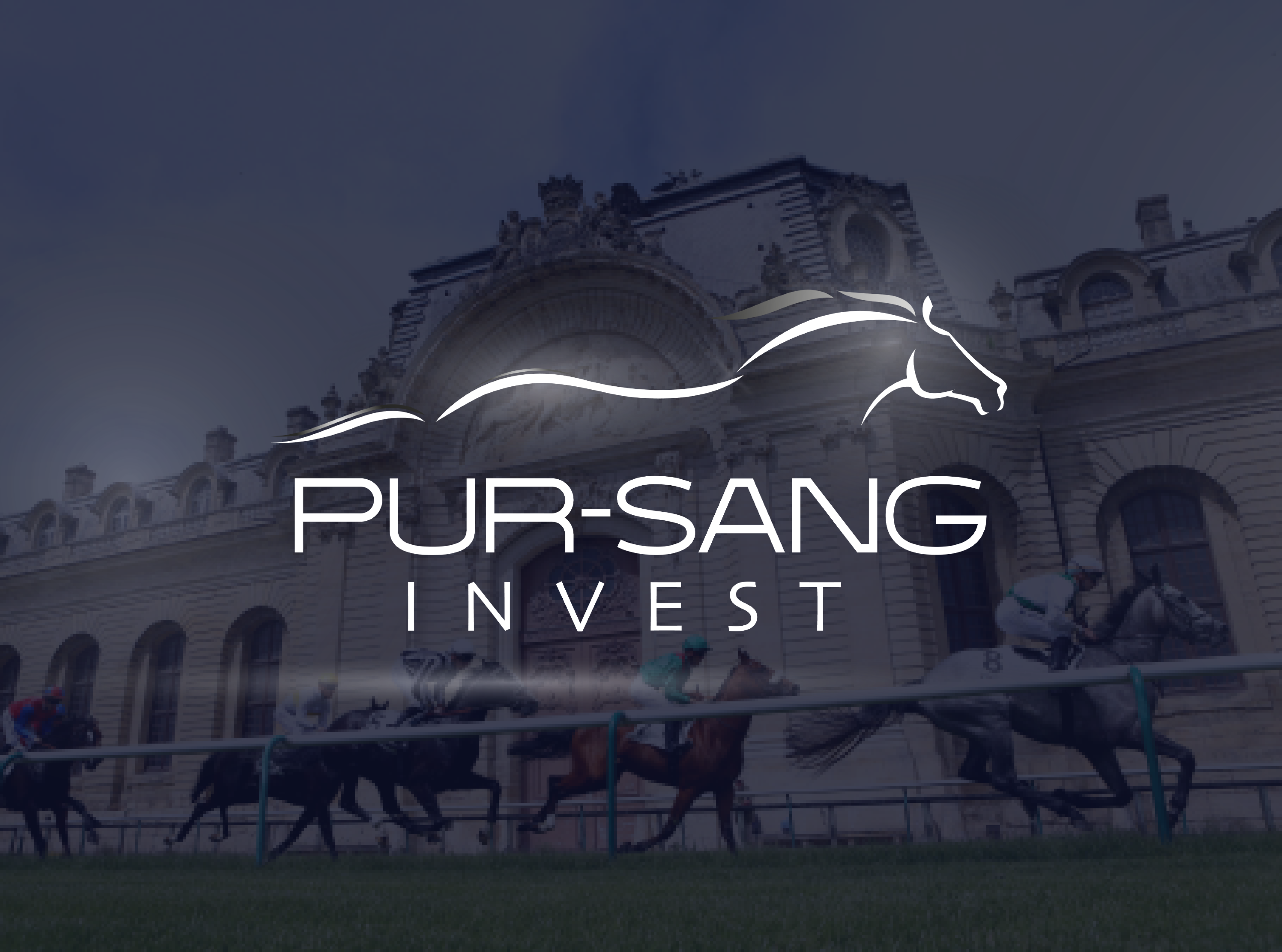 Pur-Sang Invest | Opportunités d'Investissement dans l'élevage des ...
